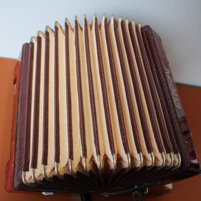 Argus 25-Key 12-Bass mini piano accordion - Red | Reverb