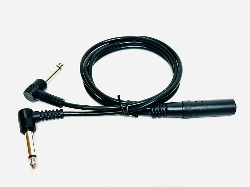 2ft Splitter Female to (2) Male Y-Cable For ROLAND BOSS OR | Reverb