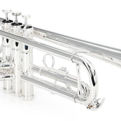 Victory Musical Instruments Triumph Series Student Trumpet - | Reverb