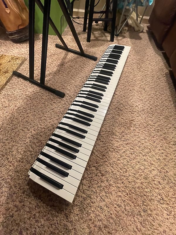 FATAR SL TP20 21 Alesis General Music Keyboard ORIGINAL | Reverb