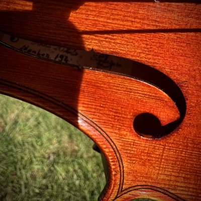 Unbelievable Waterfall Shell Maple Handmade 5-String Violin | Reverb