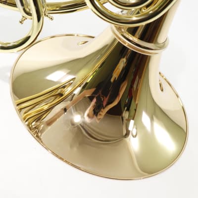 Holton Model H281 'Farkas' Double French Horn with Screw | Reverb UK