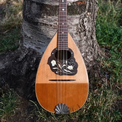 Antique Pre-war German Bowlback Mandolin, 1930s – Great | Reverb