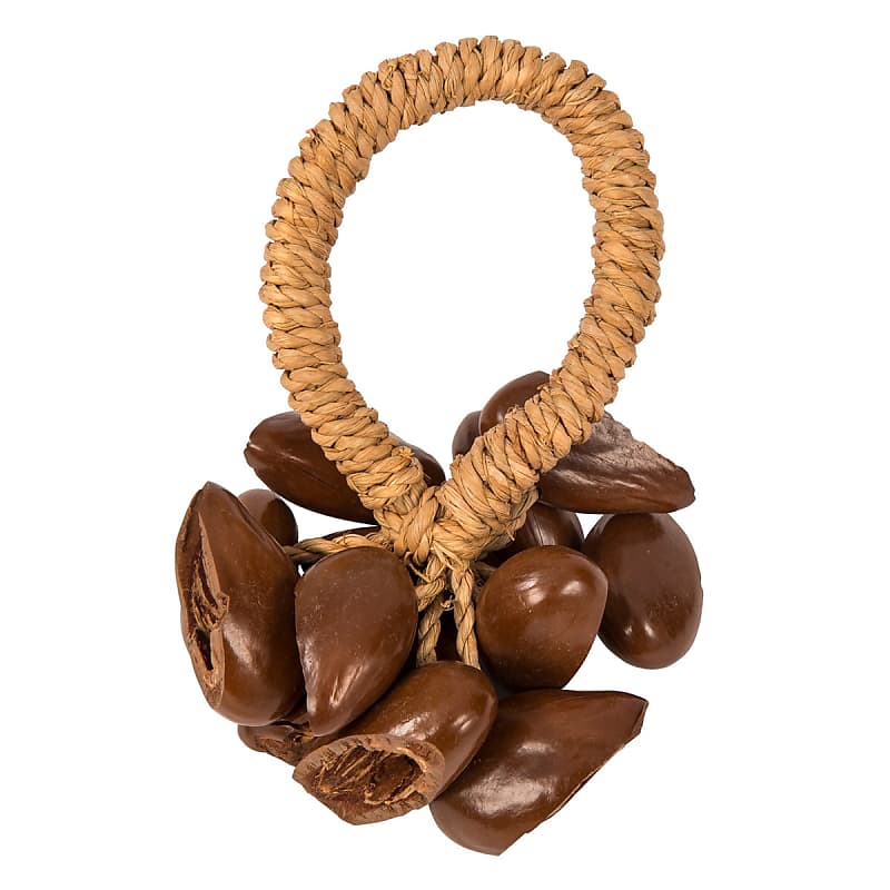 PP World African Nut Shell Shaker | Reverb