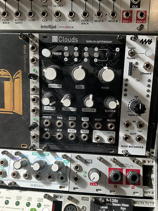 Mutable Instruments clone Clouds Black magpie panel | Reverb