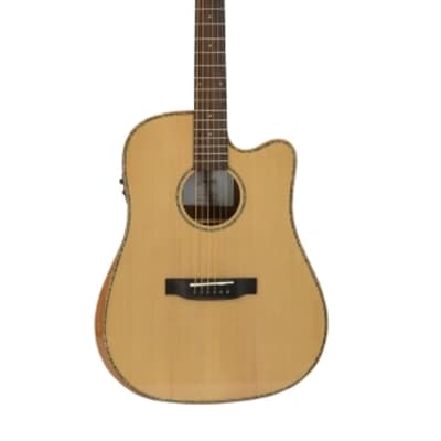 Firefly GT01-E Natural | Reverb