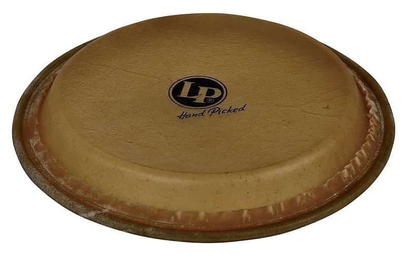 Latin Percussion 8" Rawhide Jr. Conga Head (LP266A) | Reverb