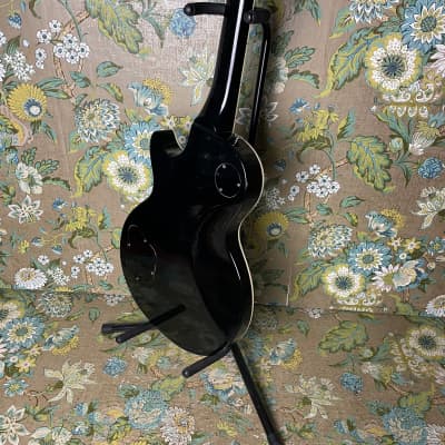 Aria Pro II LP Custom "Vine Of Life" | Reverb