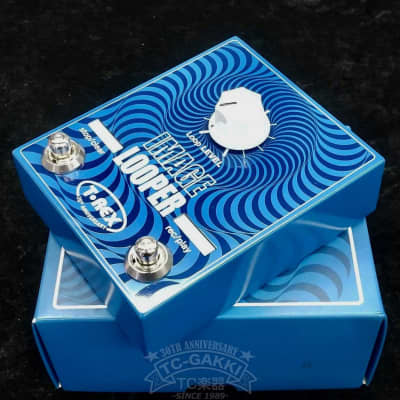 MC-FX True Bypass Looper Pedals - Dual 2x Double | Reverb Australia