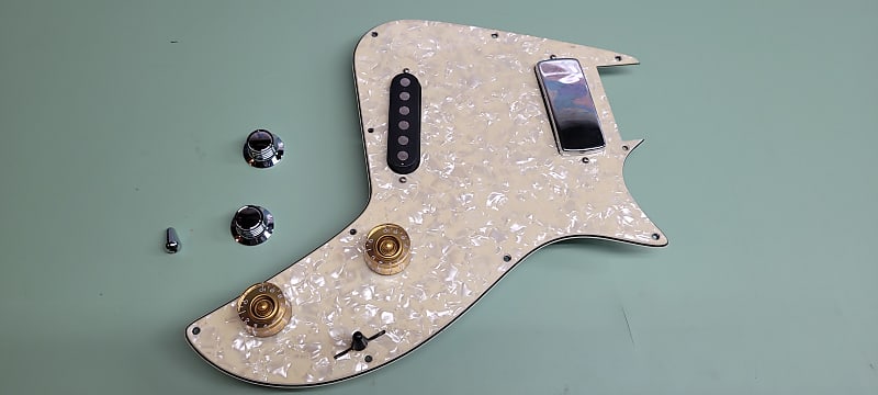 Taylor Solidbody loaded pickguard | Reverb