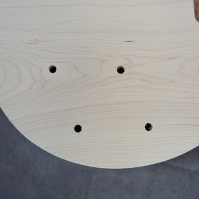 Les Paul Carve Top Body Mahogany w Full Plain Maple Top - | Reverb