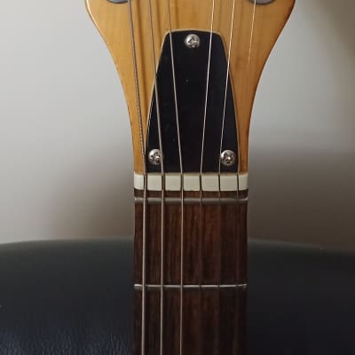 Gretsch BST 1000 Beast Natural 1980 | Reverb