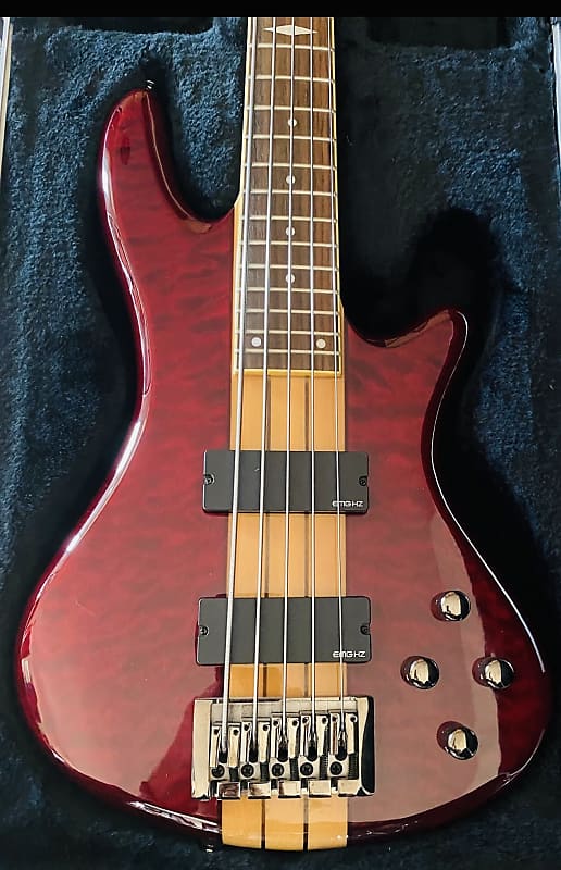 2012 Schecter Stiletto Elite-5 Elite 5 String Bass See Thru | Reverb