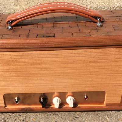 Hammond AO-44 “Spartacus” Guitar Amp head; handwired vintage | Reverb
