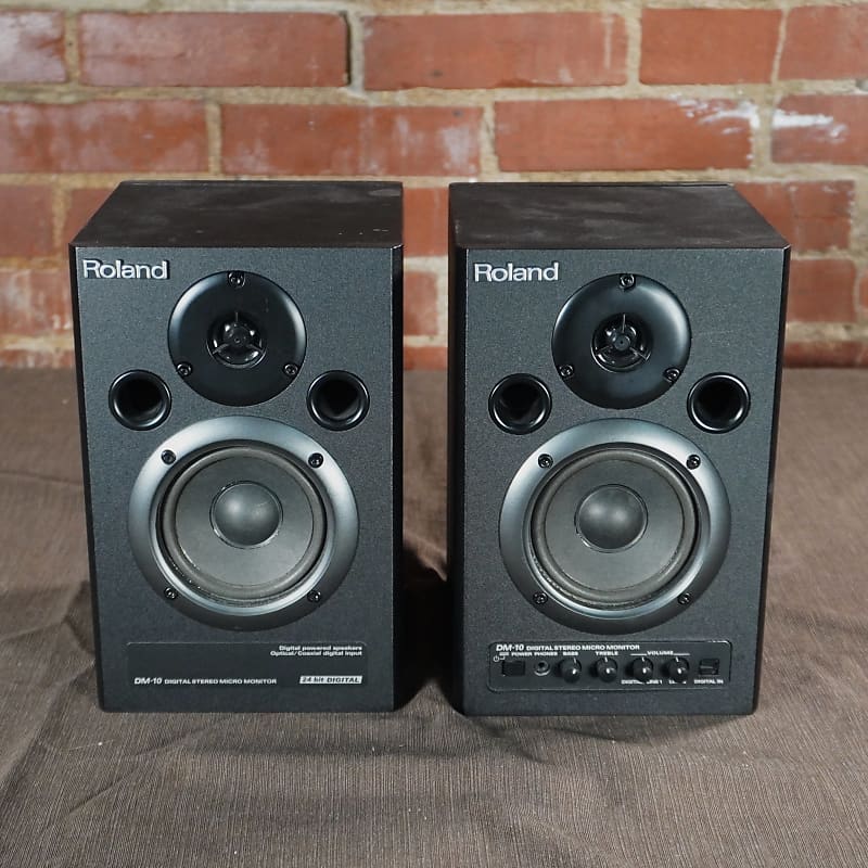 Roland DM-10 Stereo Monitors | Reverb