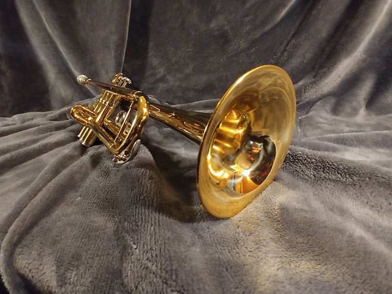 E.M. Winston Student Trumpet Mint - Ready for New Owner | Reverb