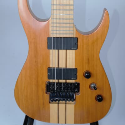 Agile 8 String Electric Guitar w/Floyd Rose Tremolo 28 5/8" | Reverb