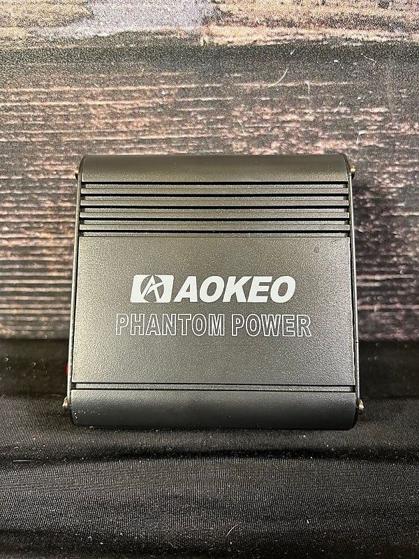 AOKEO PHANTOM POWER Power Amplifier (Charlotte, NC) | Reverb
