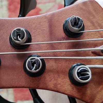 Shawn May Custom Bass DC5S 2017 - Camphor Burl | Reverb