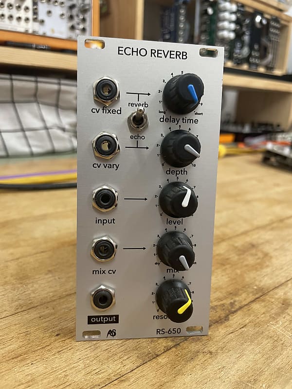 Analogue Systems: RS-650N Echo Reverb (NAMM DEMO) | Reverb