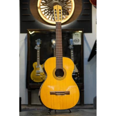 1960s Musima Classic natural | Reverb