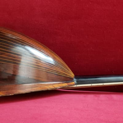 Wurlitzer Roundbelly Mandolin 1915-1935 | Reverb