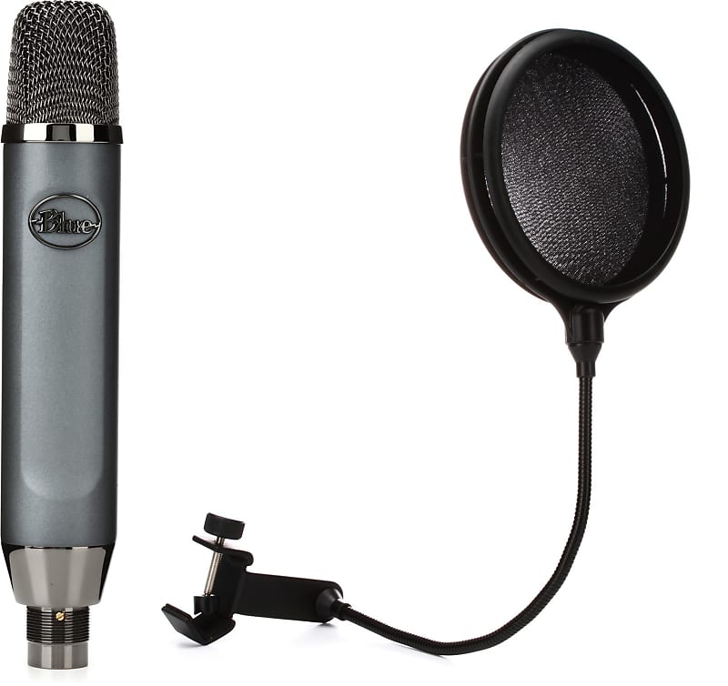 Blue Microphones Ember Small-diaphragm Condenser Microphone | Reverb