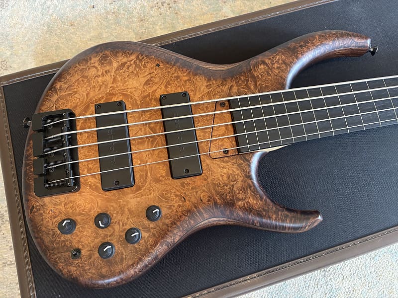 MTD Michael Tobias MTD 535-24 2013 Lined Fretless Burl Maple | Reverb