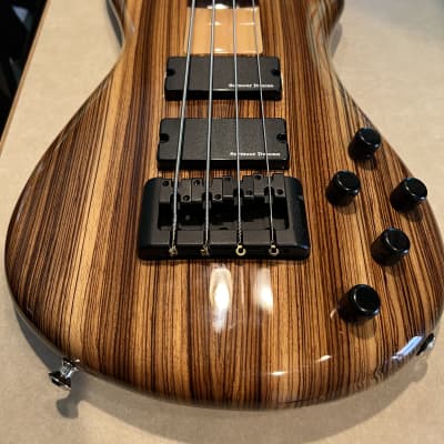 Spector Rebop 4DLX (Zebop) 2014 - Gloss Zebra Wood Top | Reverb