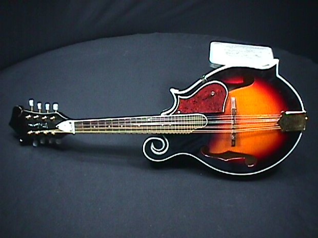 A Fancy F Style Windaroo Mandolin in Great Ready to Play | Reverb