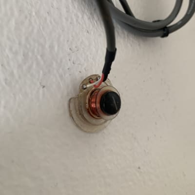 Taylor Dynamic body sensor + cables for Expression System | Reverb