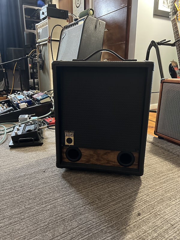 Raezer's Edge Stealth 10 2020s - Black Tolex | Reverb