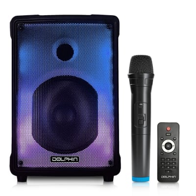 Dolphin KP-80 Premium Loud DEEP Sound, Lite-Weight, Karaoke | Reverb