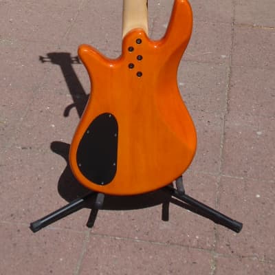 Spector Q5 Fretless 5-String Bass - Custom Unlined Wenge | Reverb