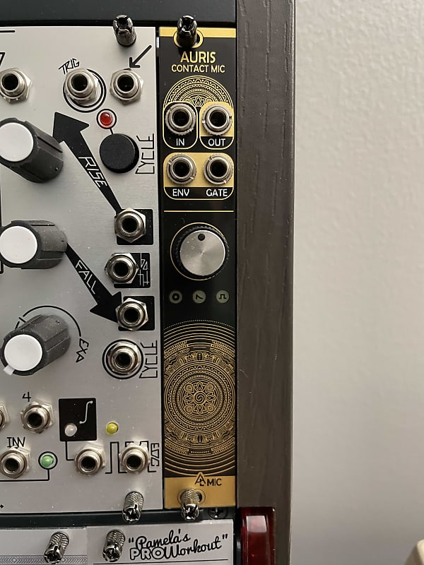 After Later Audio Auris (Mutable Instruments Ears Clone) 2023 | Reverb