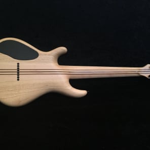 Mayones Regius 8 String, Misha Monsoor Owned, Periphery, Rare | Reverb