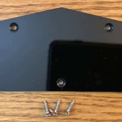 Epiphone Les Paul Special II Control Cavity Cover Plate With | Reverb