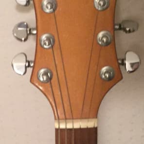 Murphy Shaw Custom Built Guitar 1975 Mahogany | Reverb