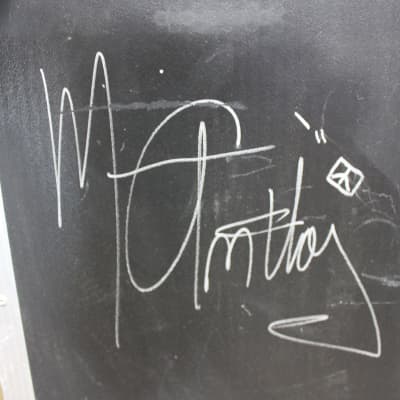 Mental Case 2 Guitar Road Case/ Michael Anthony Signature | Reverb