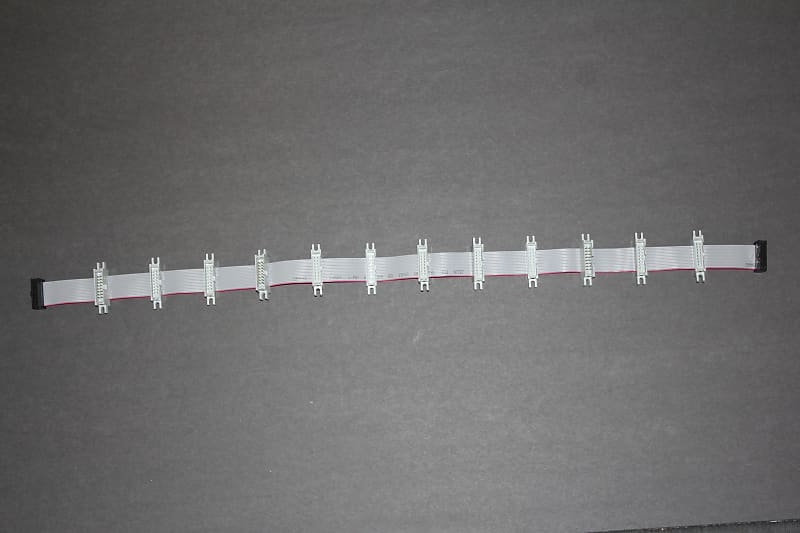 12-Outlet Eurorack Flying Power Bus Ribbon Cable • | Reverb