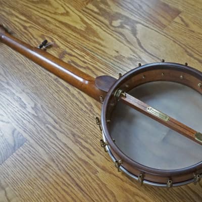 Open Back Banjo, Fretless, Cow Skull Motif | Reverb