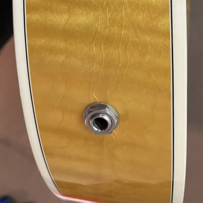 2008 J Triggs Archtop in Vintage Yellow w/OHSC! | Reverb