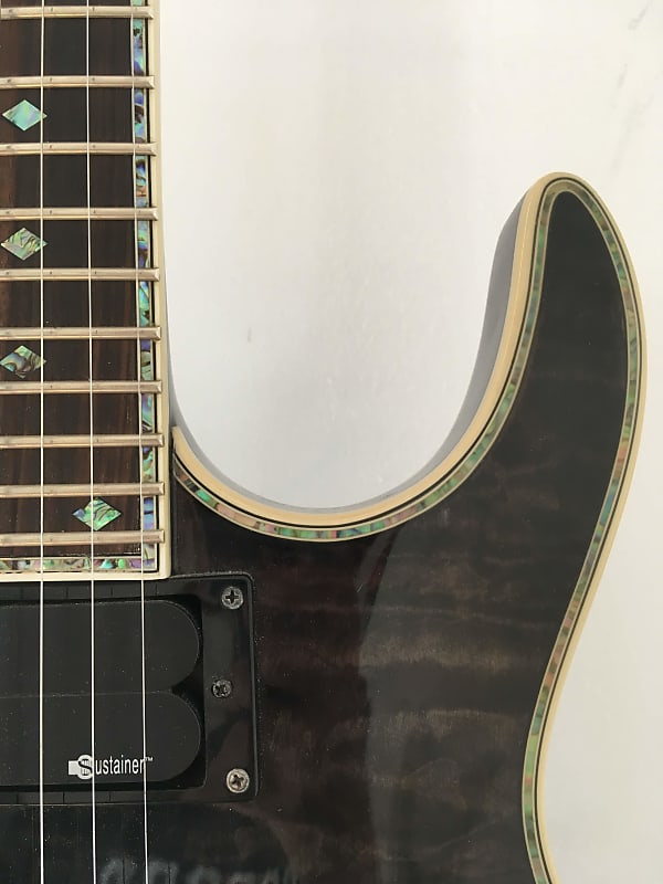 Fernandes Revolver Elite with Sustainer and hard case. | Reverb