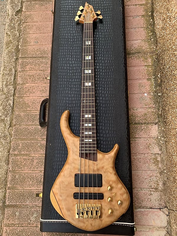 Warrior DM5 | Reverb