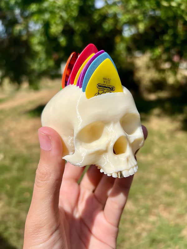 Realistic Bone White and Gold Tooth Mohawk Skull Guitar Pick | Reverb