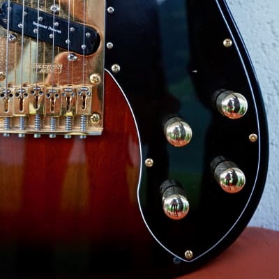 Fender Telecaster Thinline Fishman Piezo-Bridge | Reverb