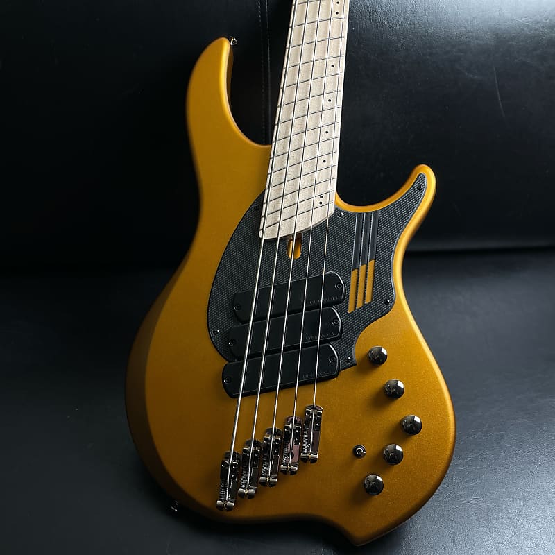 Dingwall NG3 Adam “Nolly” Getgood Signature 5-String Bass | | Reverb