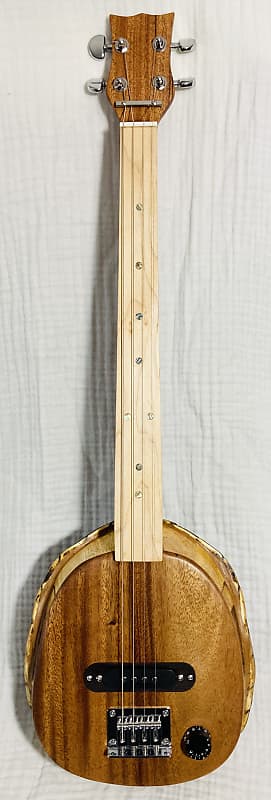 Turtle shell fretless slide guitar- Monkey pod top | Reverb