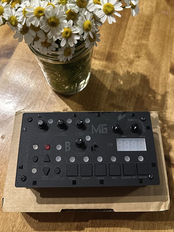 Bastl Microgranny 2 - Monophonic Granular Sampler New & Never | Reverb