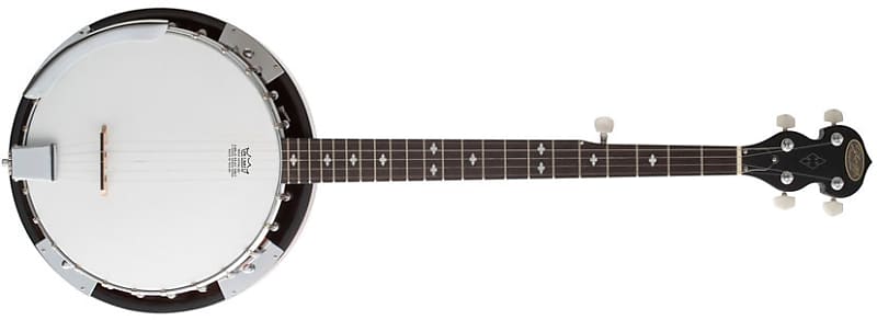 STAGG BJW24 DL 5-String Western Banjo with Mahogany Resonator | Reverb
